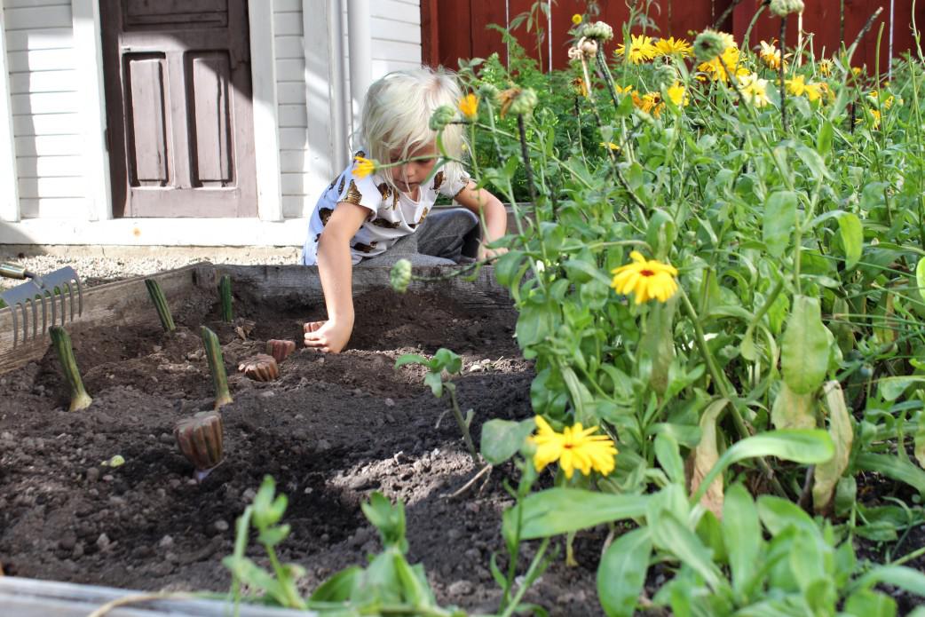 Starting a new garden? How to Test Your Soil for Lead - Center for ...